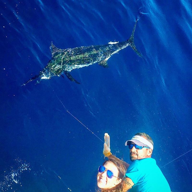 Epic Sportfishing Costa Rica – Inshore and Offshore Saltwater Fishing ...